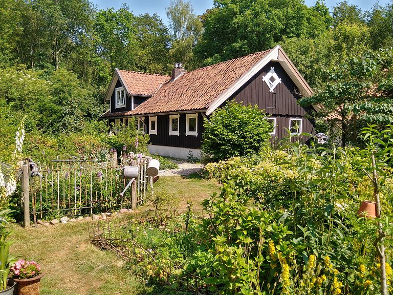 Knus Zweeds huisje in Drenthe in Drouwenerveen